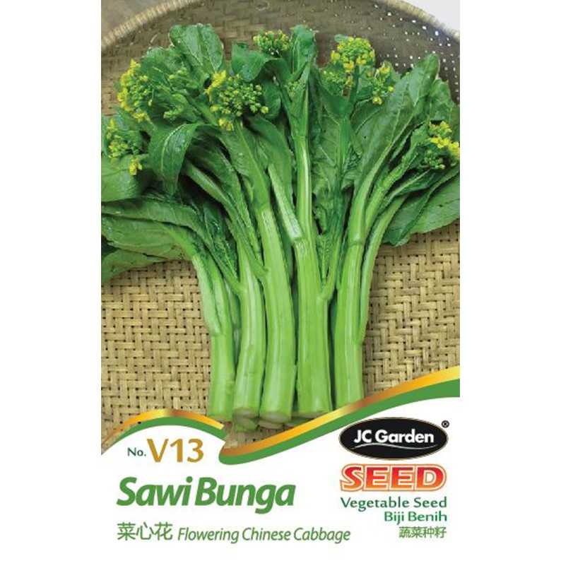 JC Garden V18 Vegetable Seed Celery / Saderi Daun Sup Biji Benih Sayur ...
